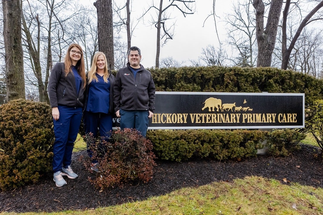 Hickory Veterinary Primary Care (Ambler) | Hickory Veterinary and Specialty Hospital